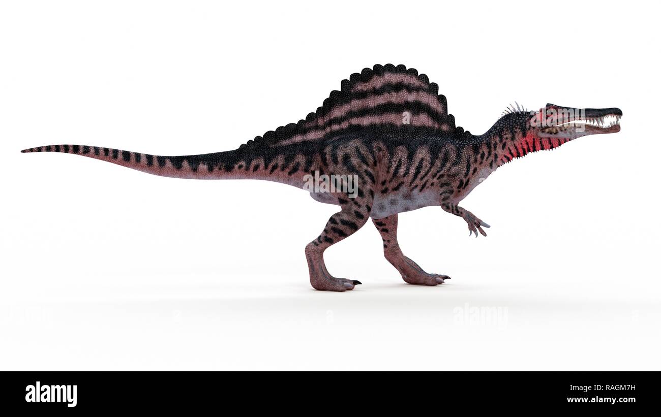 Illustration of a spinosaurus Stock Photo - Alamy