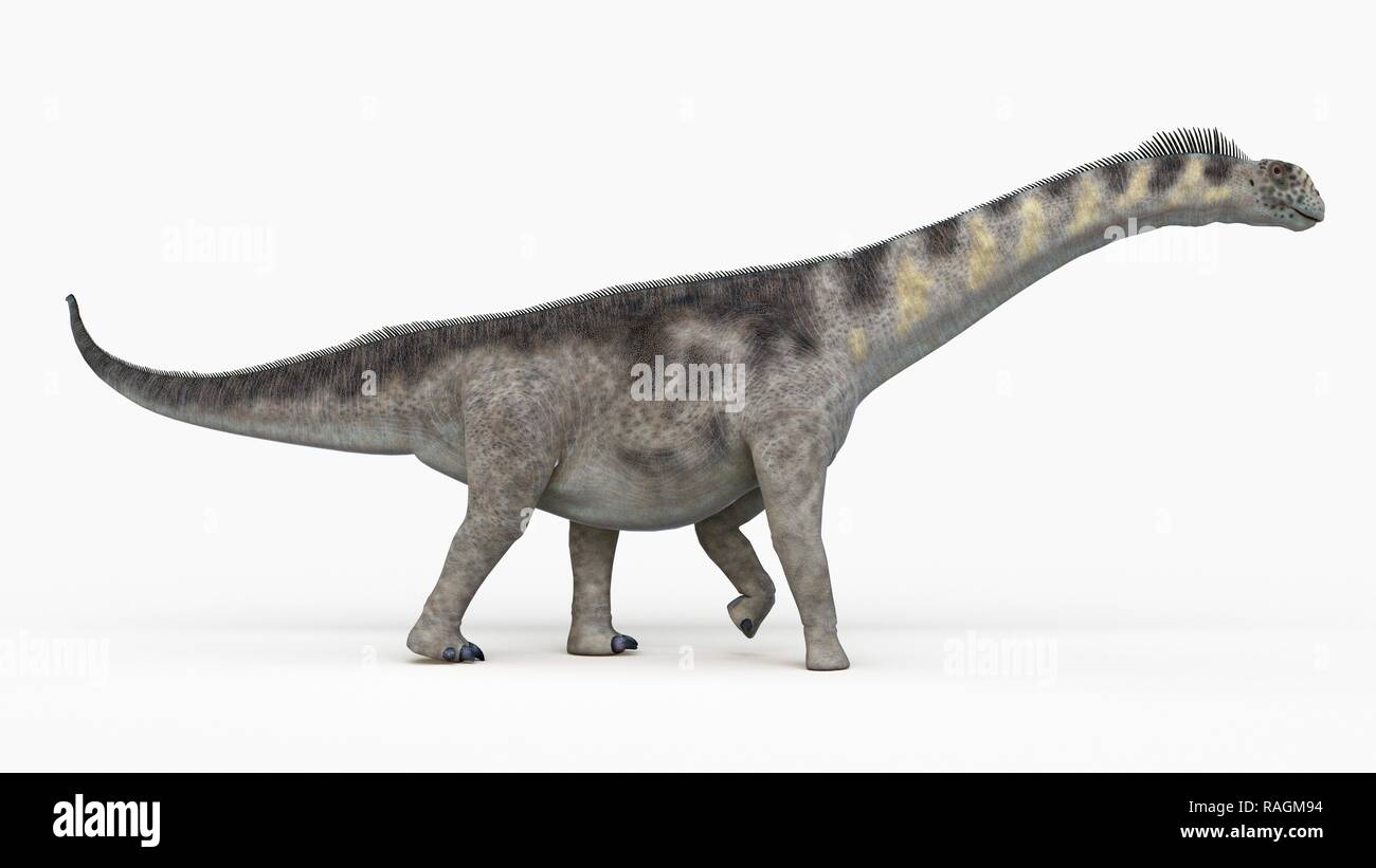 Camarasaurus High Resolution Stock Photography and Images - Alamy