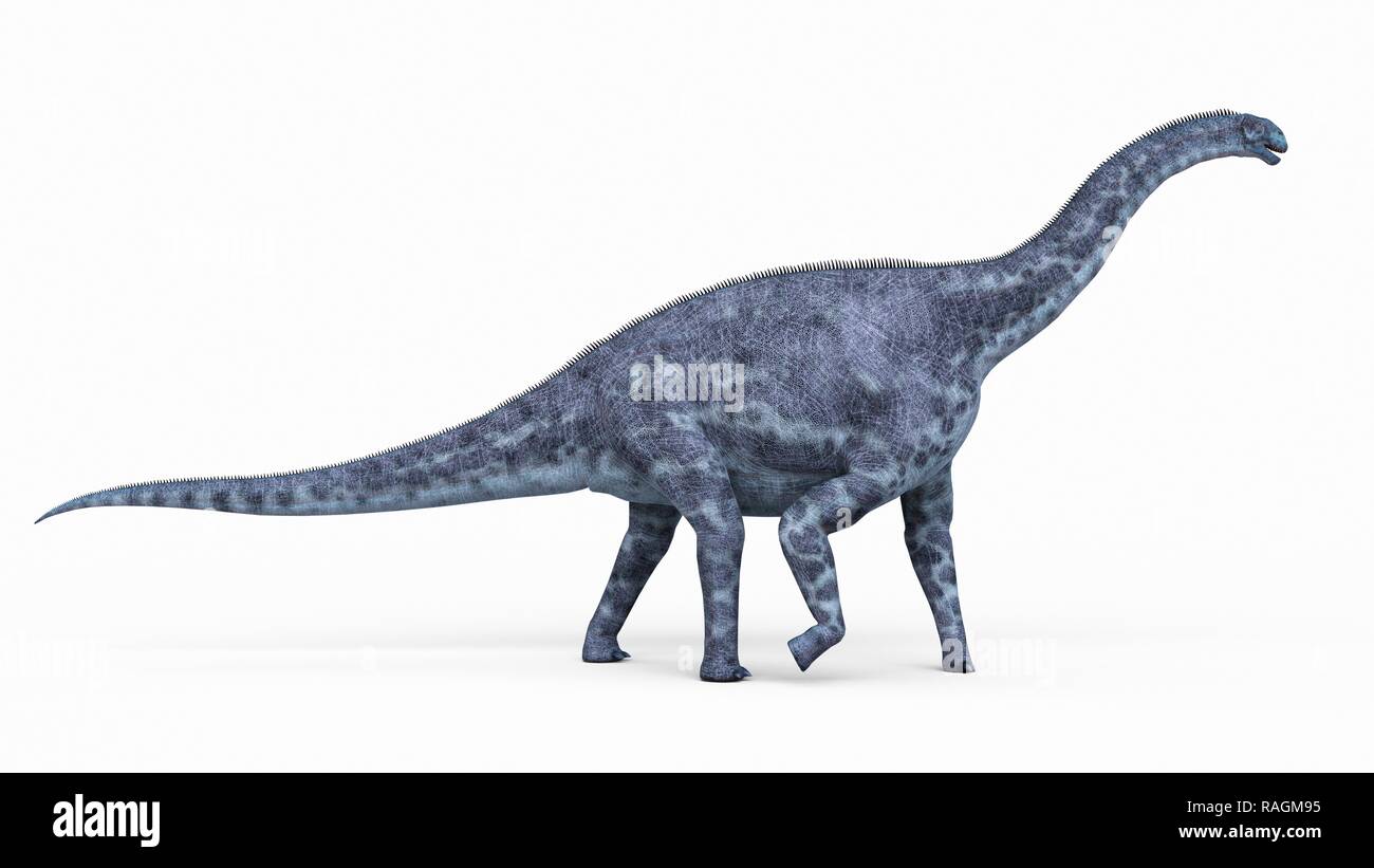 Cetiosaurus hi-res stock photography and images - Alamy