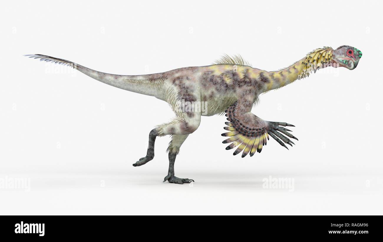 Illustration of a citipati Stock Photo - Alamy