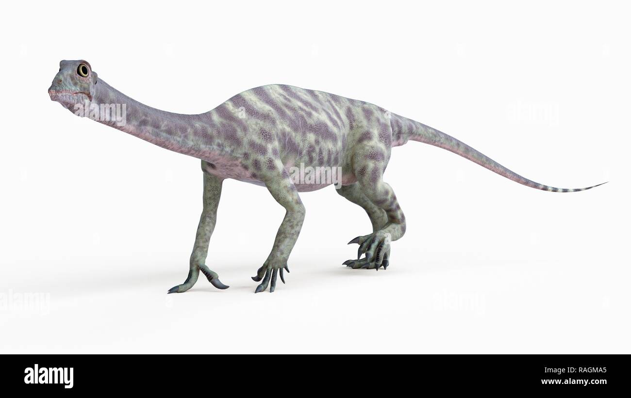 Illustration of a anchisaurus Stock Photo - Alamy