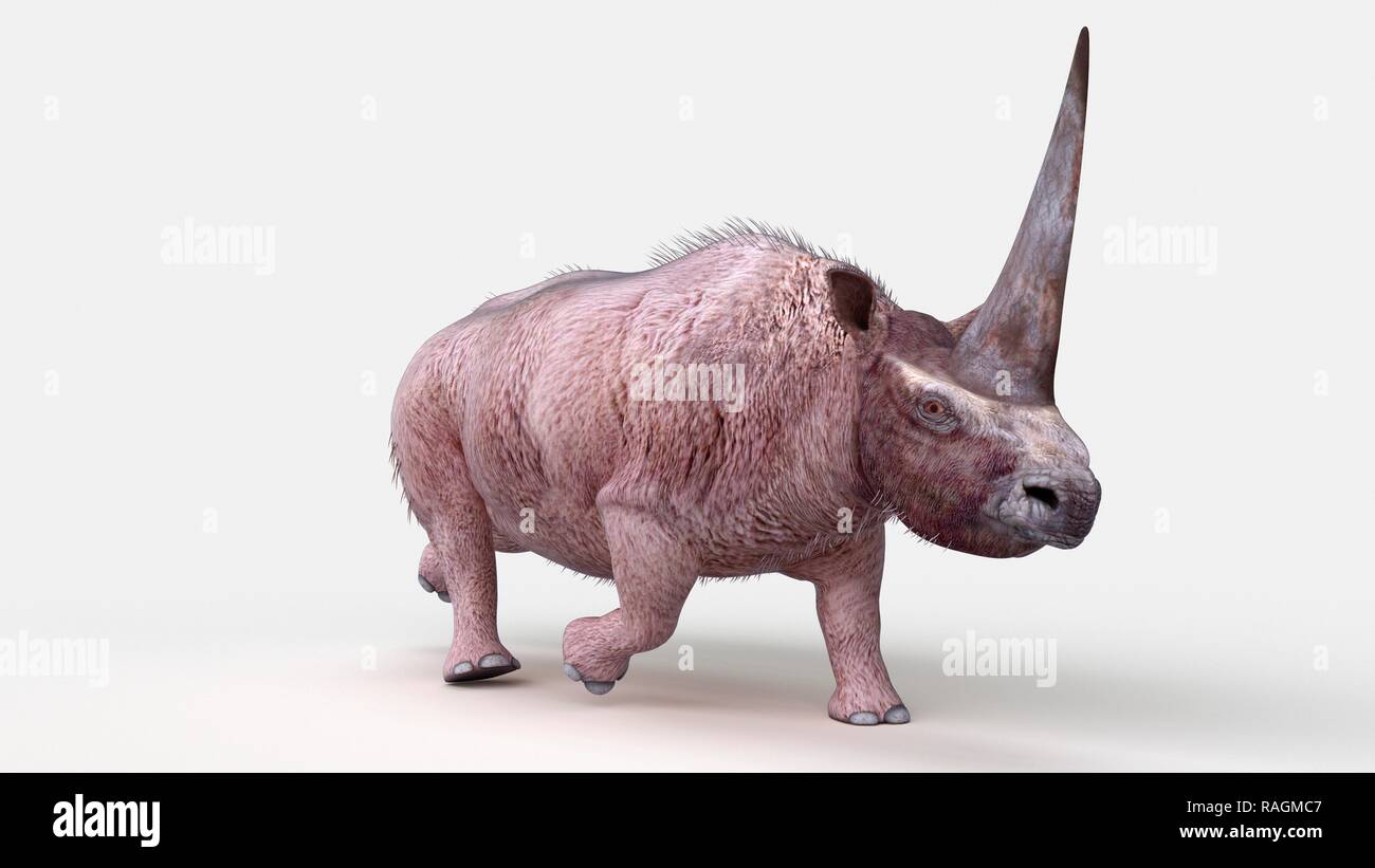 Elasmotherium hi-res stock photography and images - Alamy