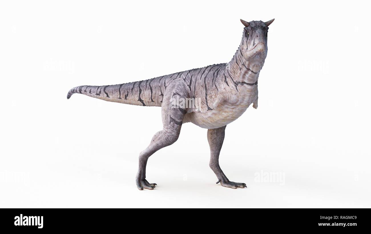 Illustration of a carnotaurus Stock Photo - Alamy