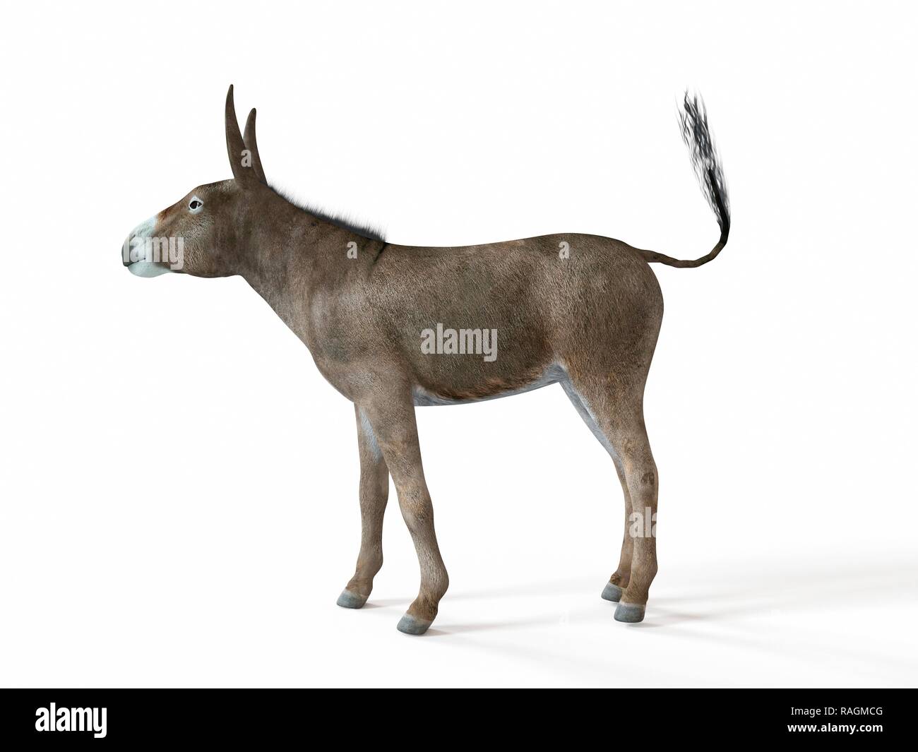 Illustration of a donkey Stock Photo - Alamy