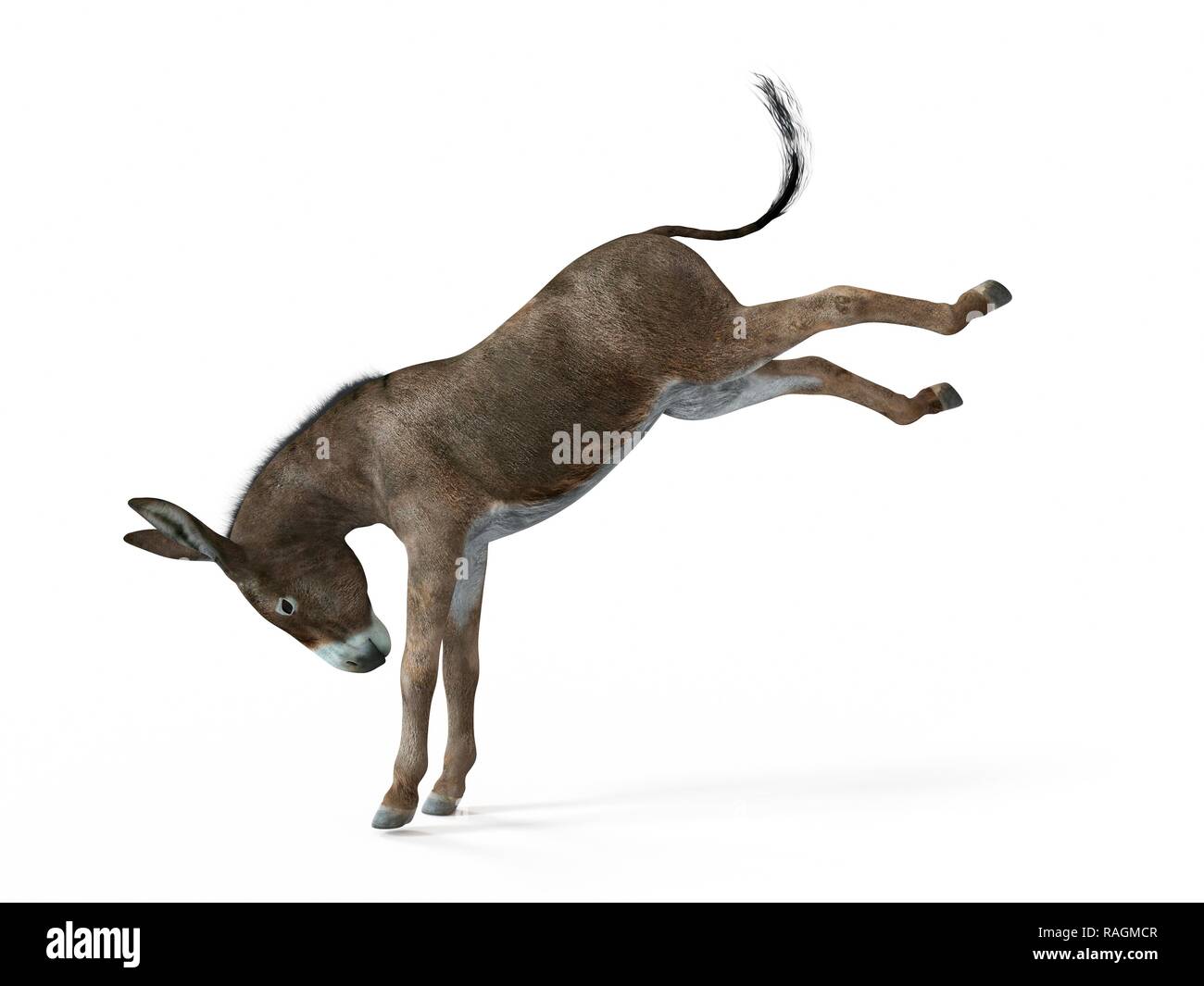 Illustration of a donkey Stock Photo - Alamy