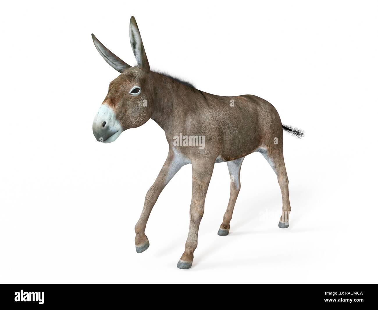 Illustration of a donkey Stock Photo - Alamy
