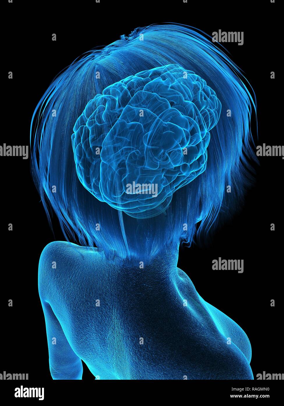 Illustration of an old woman's brain Stock Photo - Alamy