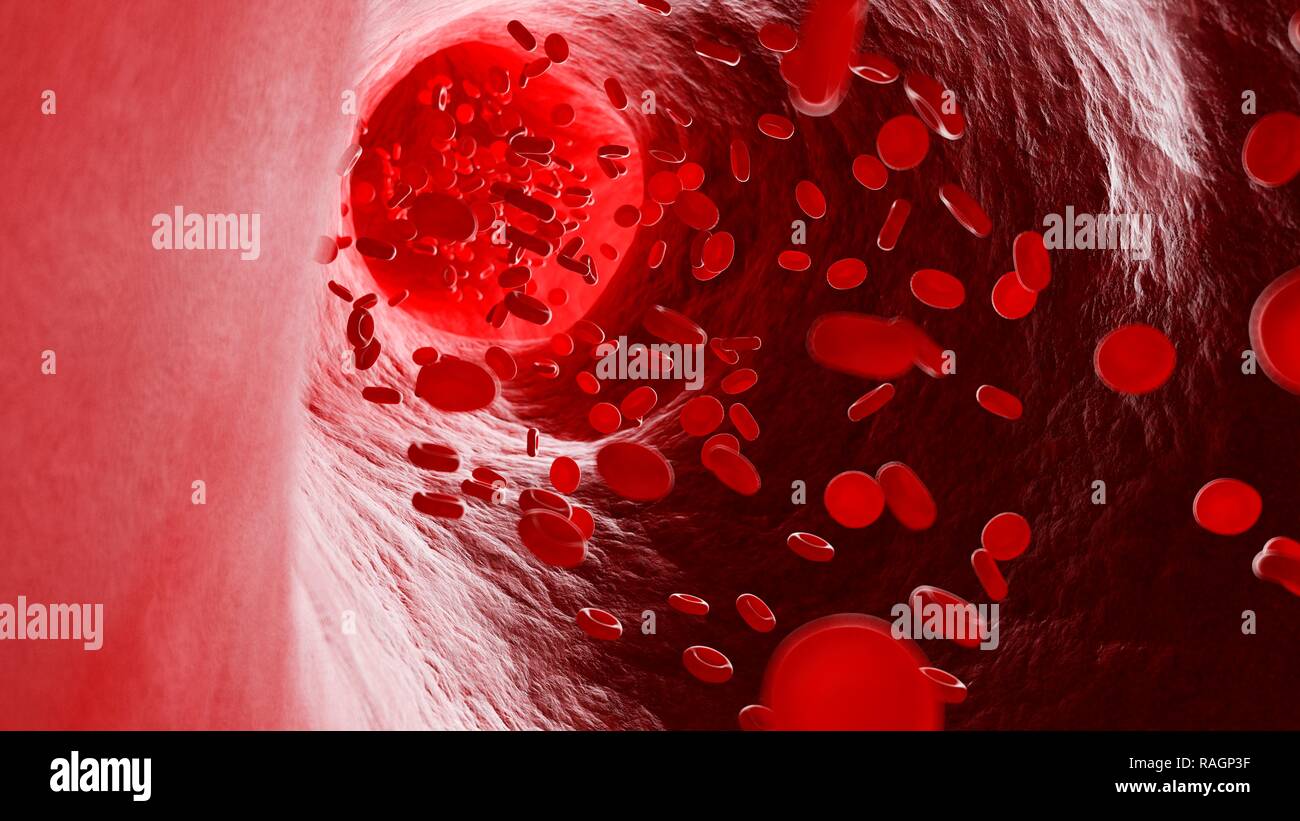 Illustration of human blood cells Stock Photo - Alamy