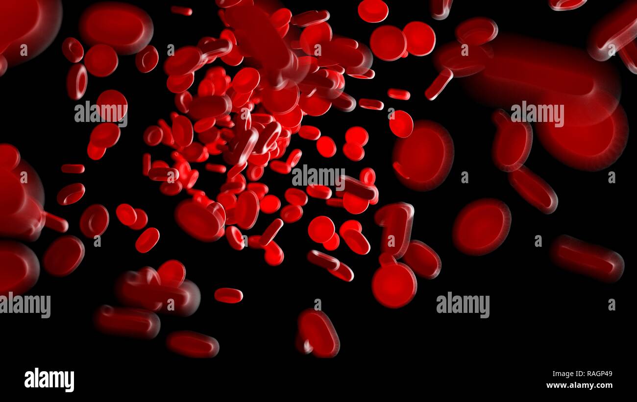 Illustration of human blood cells Stock Photo - Alamy