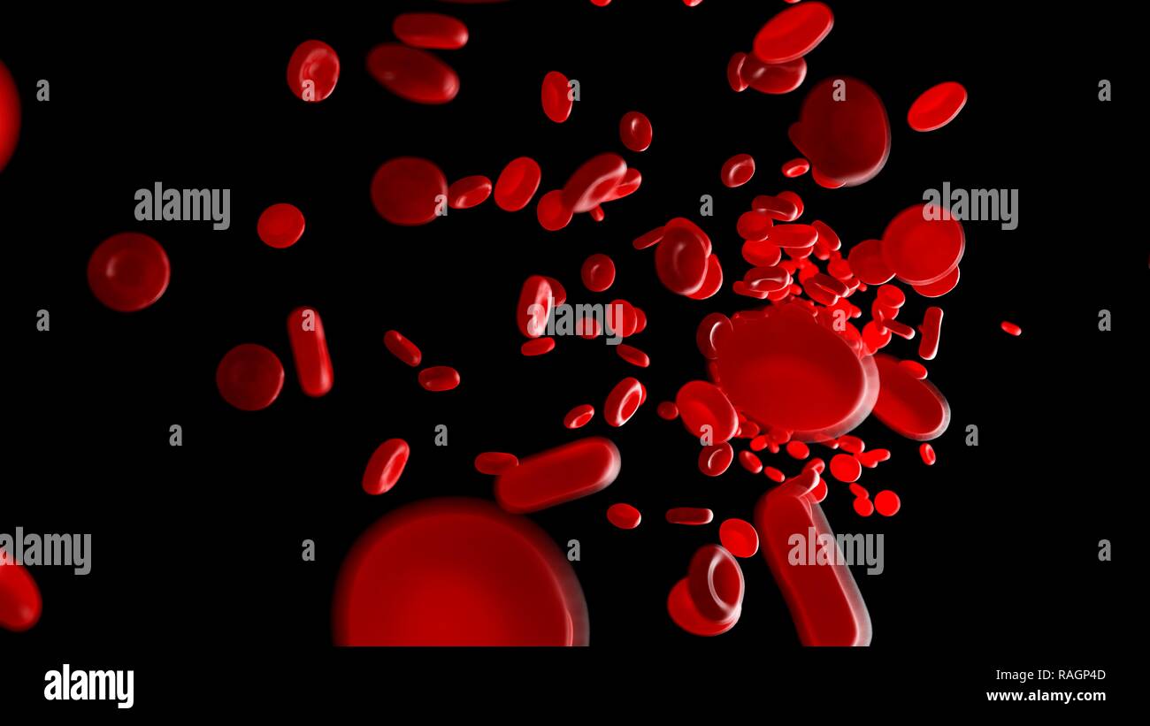 Illustration of human blood cells Stock Photo - Alamy