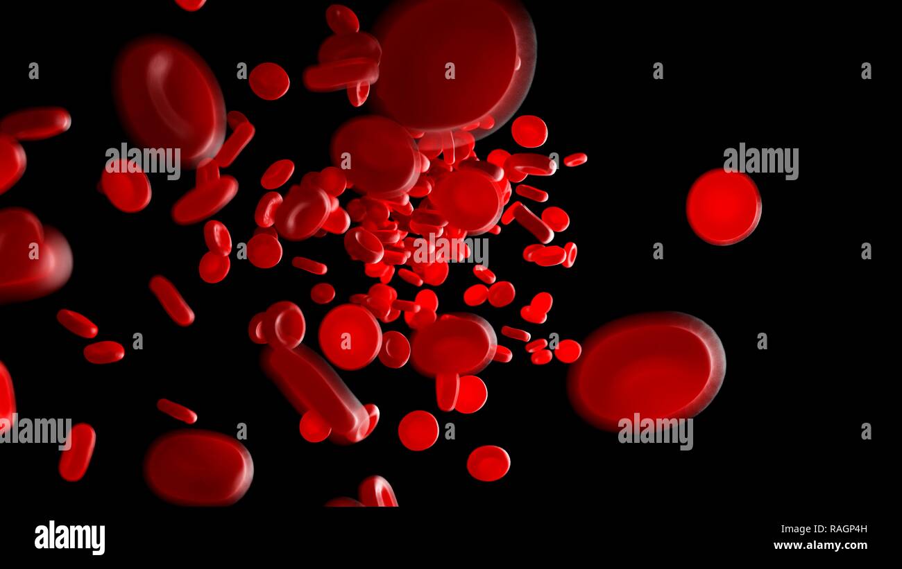 Illustration of human blood cells Stock Photo - Alamy