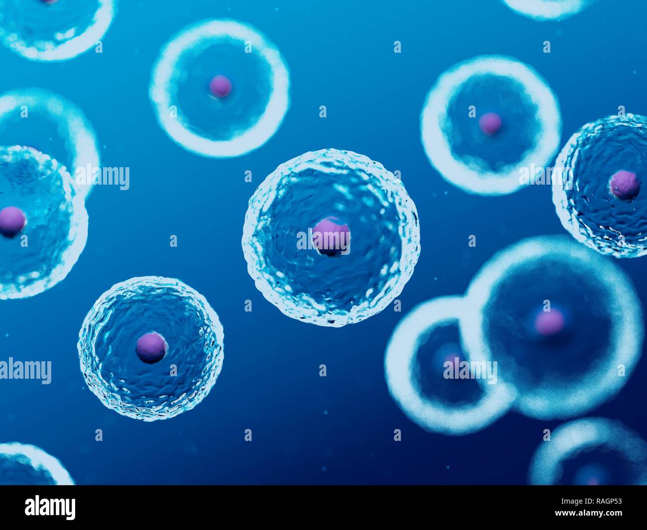 Illustration of human cells Stock Photo - Alamy