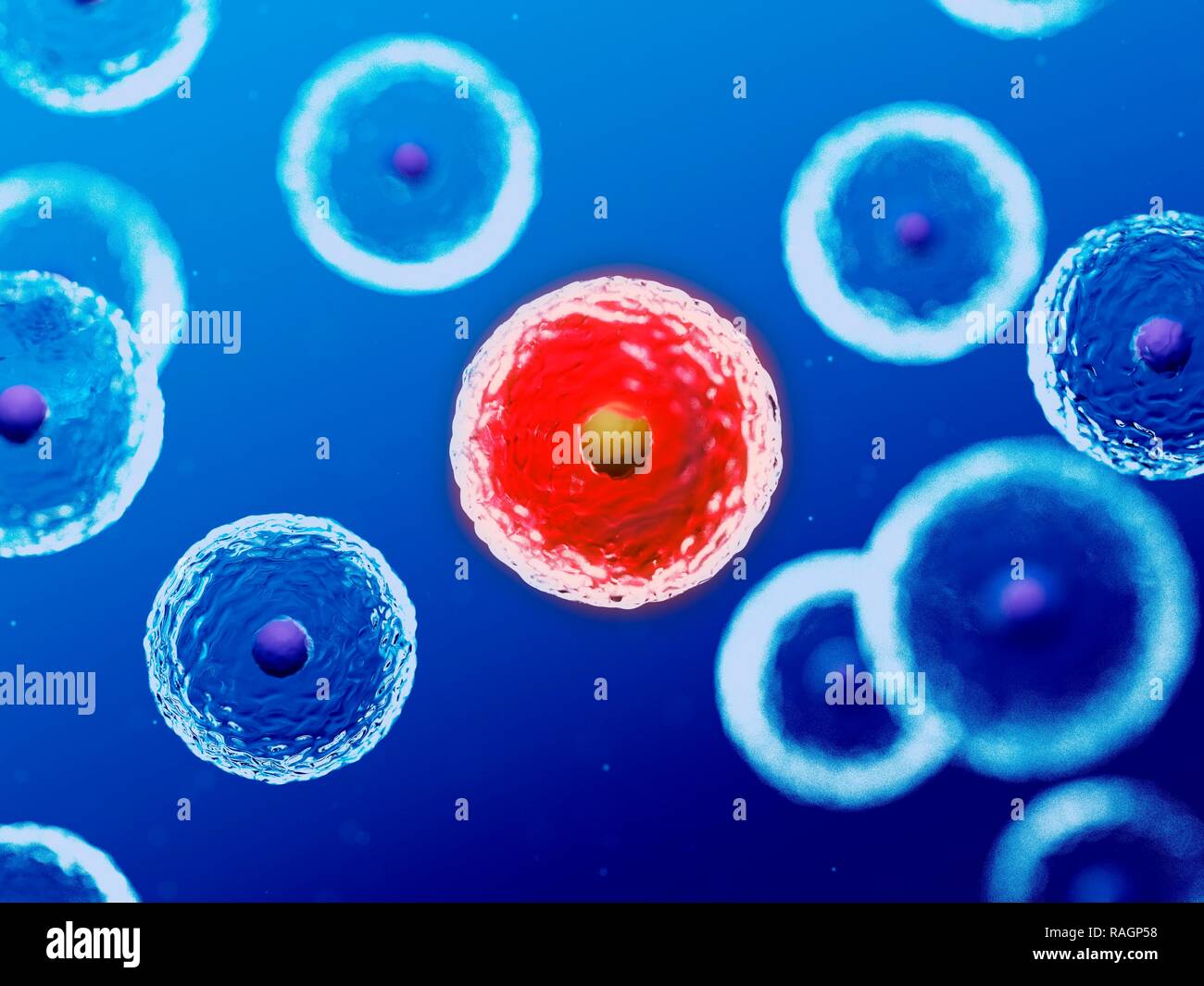 Illustration of human cells Stock Photo - Alamy