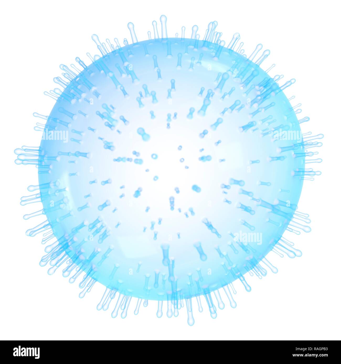 Cell membrane Cut Out Stock Images & Pictures - Alamy