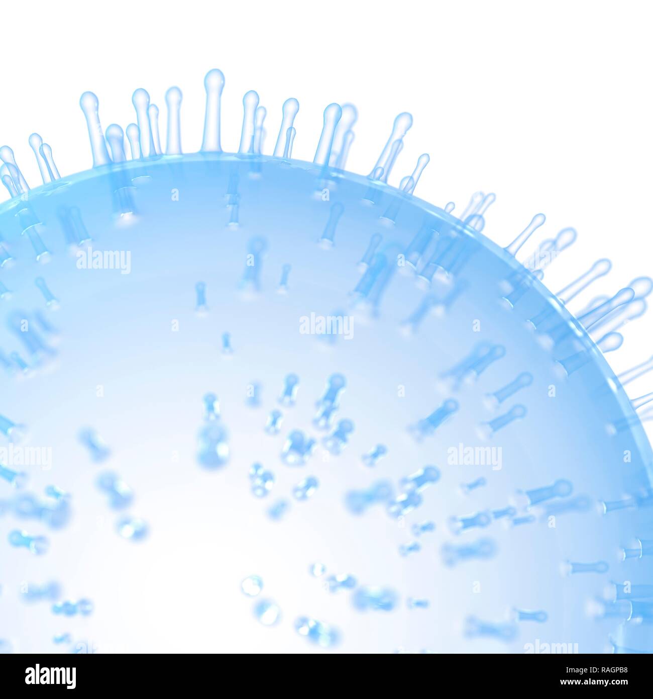 Illustration of a cell membrane Stock Photo - Alamy