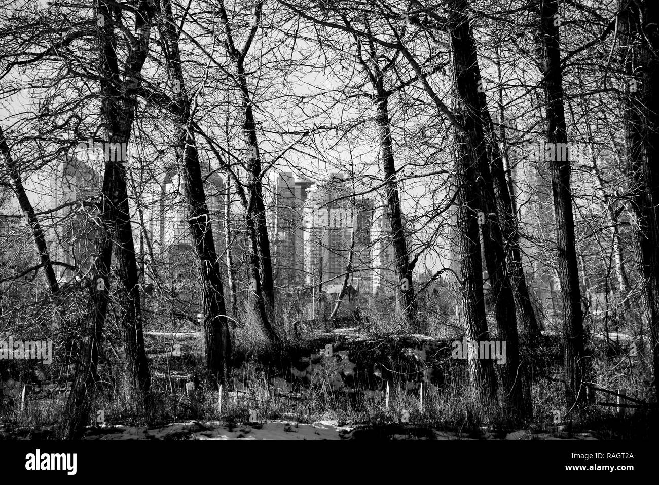 Calgary scenery Black and White Stock Photos & Images - Alamy