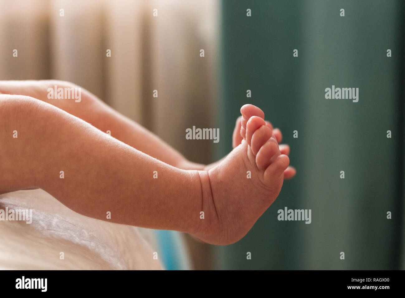 Small legs hi-res stock photography and images - Alamy