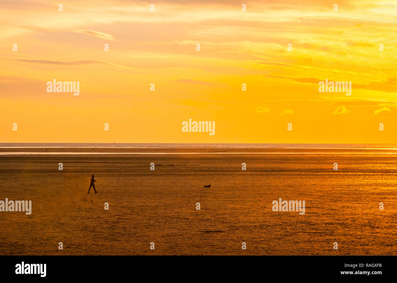Walker and dog on beach at sunset in winter looking over the river ...