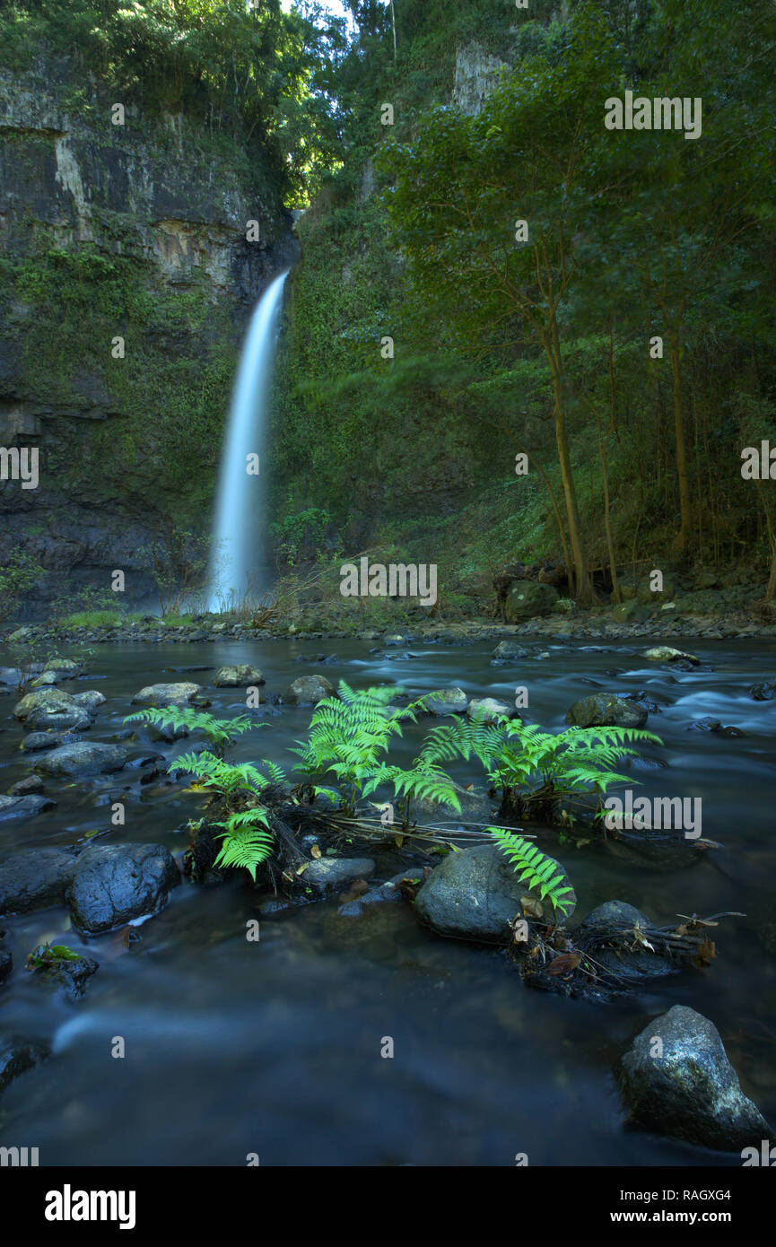 Wooroonooran national park hi-res stock photography and images - Alamy