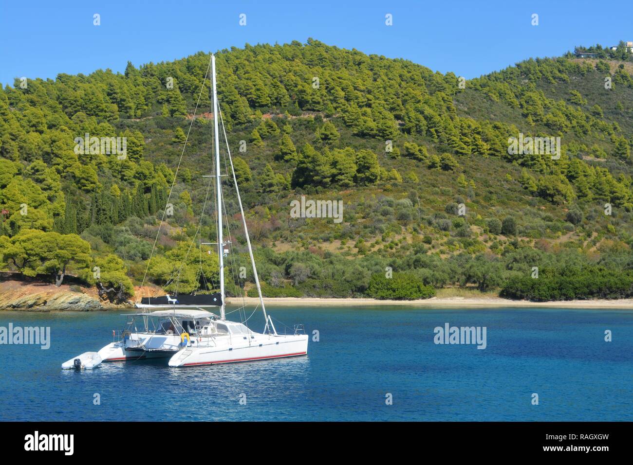 Modern white catamaran near the shore Stock Photo - Alamy