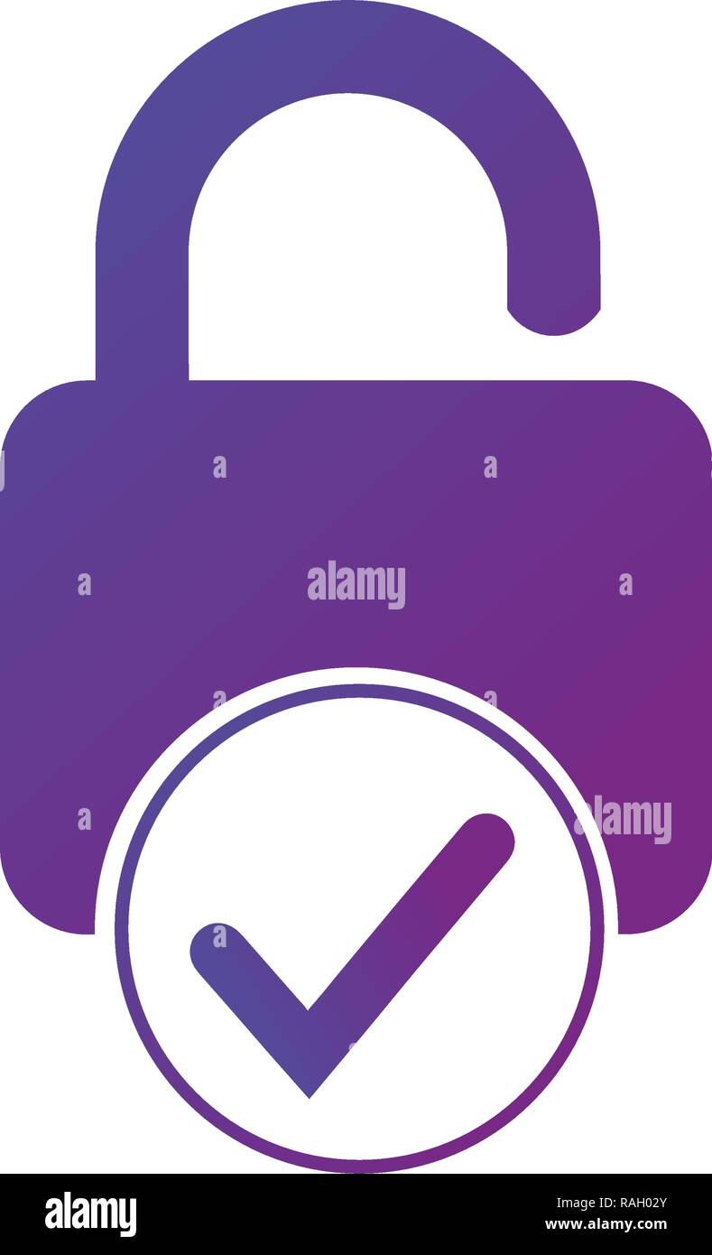 Lock and check mark icon isolated on white background. Security check ...