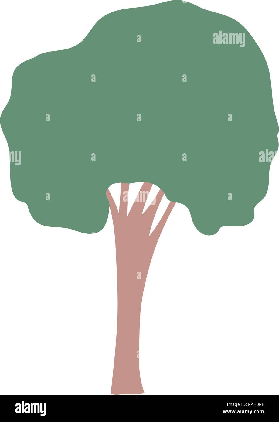 tall tree isolated icon Stock Vector Image & Art - Alamy