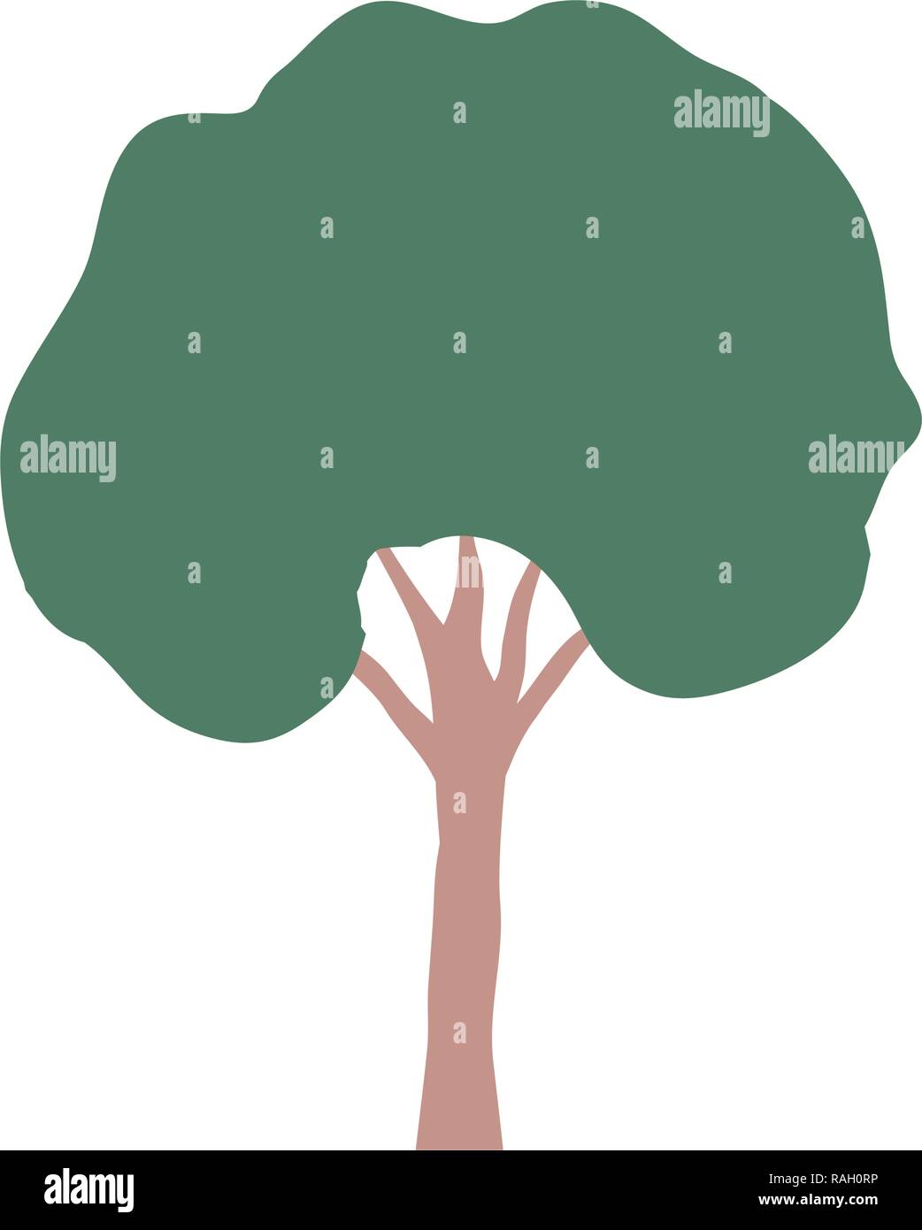 tall tree isolated icon Stock Vector Image & Art - Alamy