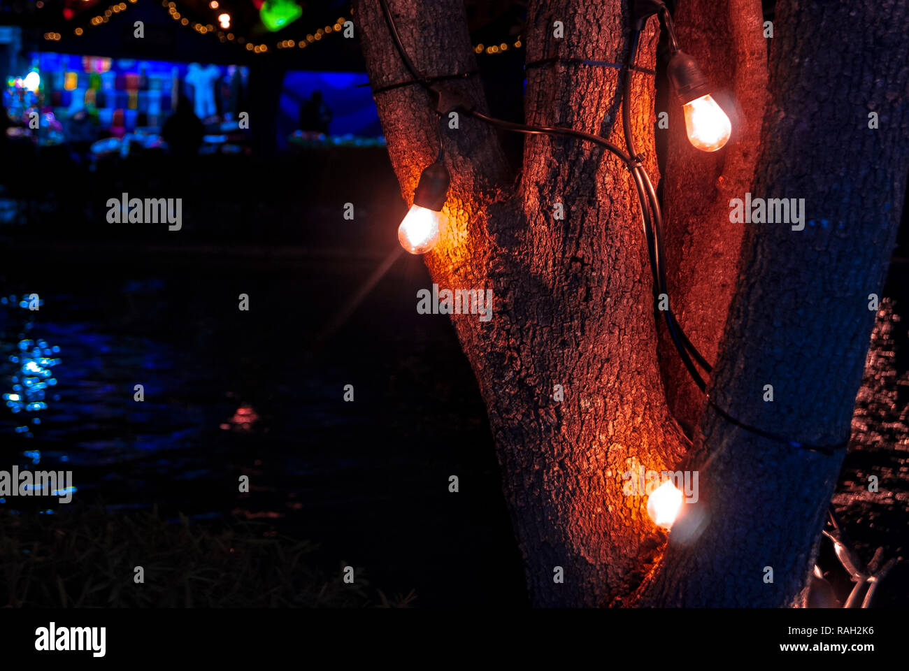Trees show hi-res stock photography and images - Alamy