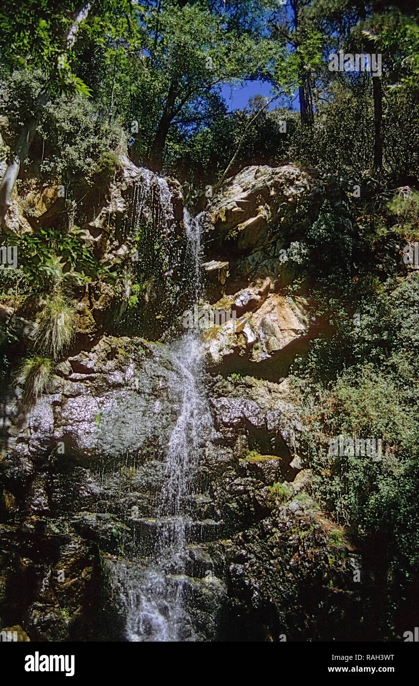 Caledonian Falls, Platres, Troodhos Mountains, Cyprus Stock Photo - Alamy