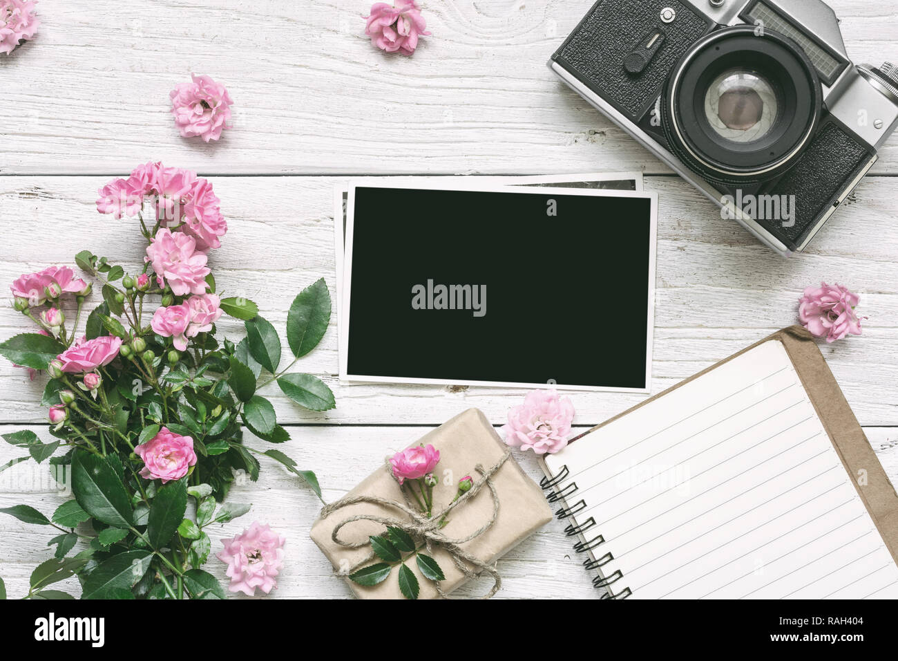 vintage retro camera and pink rose flowers bouquet with blank photo ...
