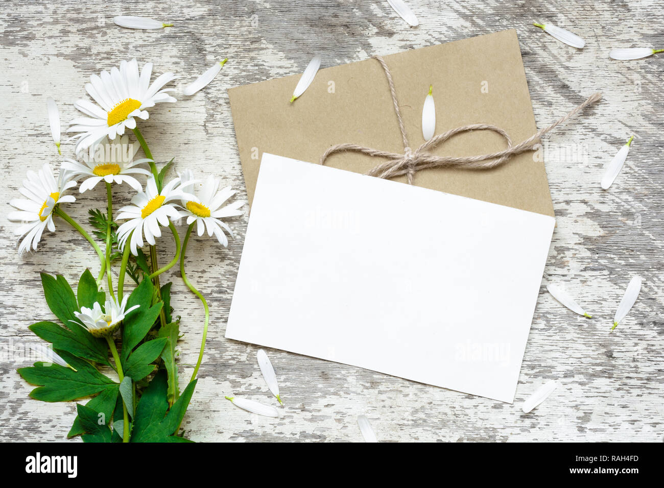 blank white greeting card and envelope with white chamomile flowers ...