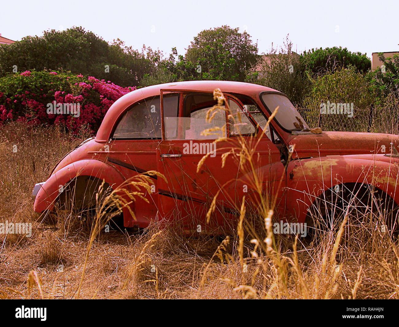 Abandoned red Morris Mini Minor 1000 in a small field, Paphos, Cyprus ...