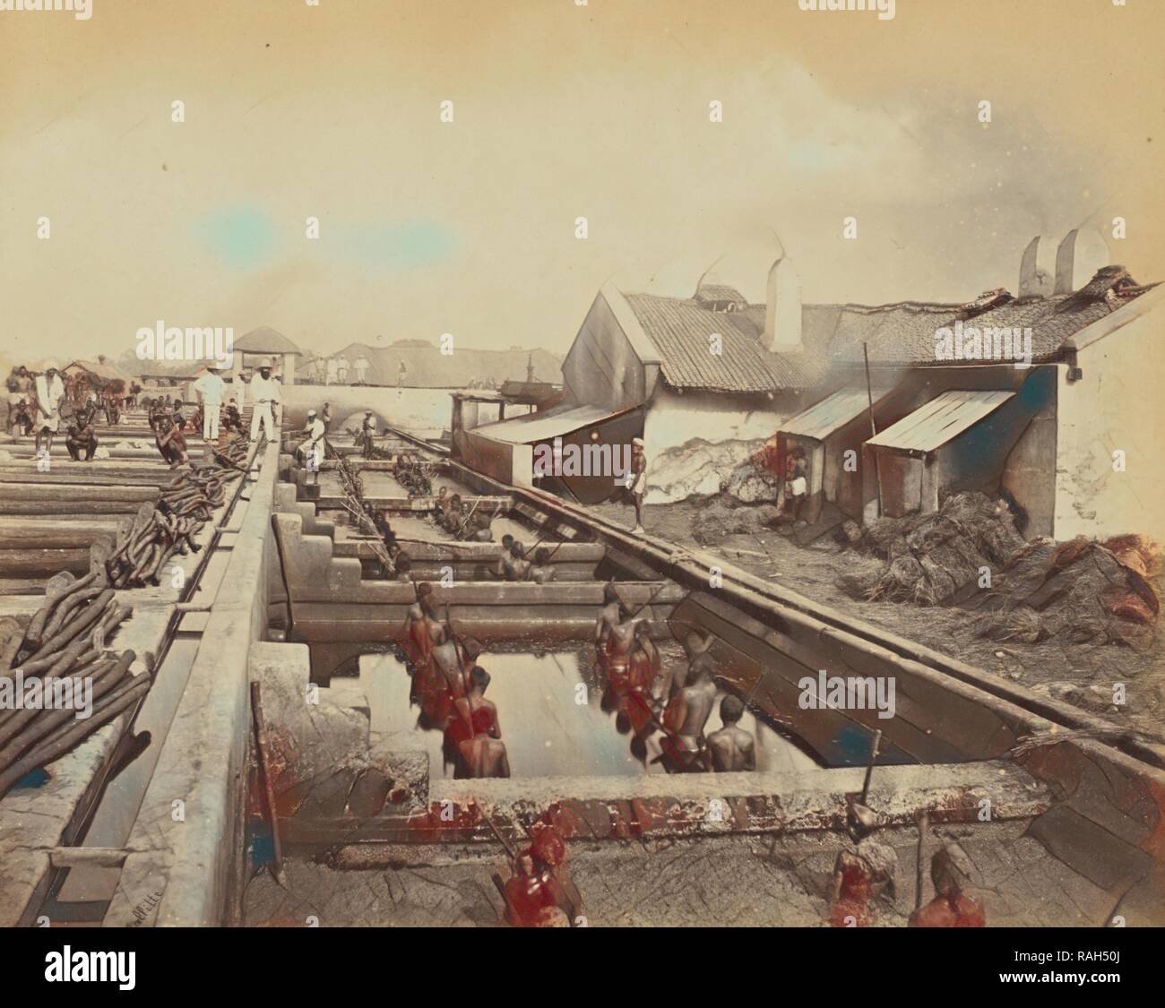 Indigo factory india hi-res stock photography and images - Alamy