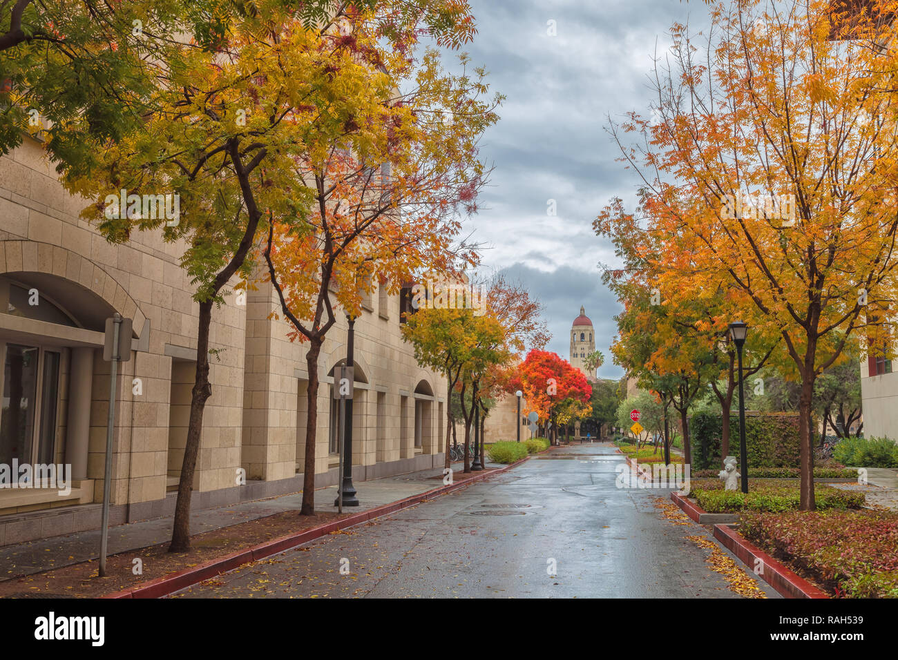 Arches stanford university palo alto hi-res stock photography and ...