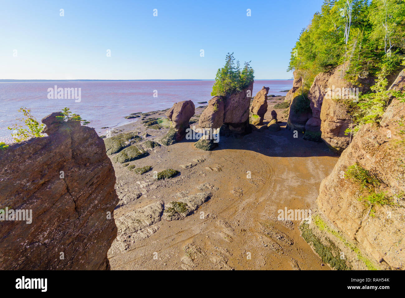 Tide new hi-res stock photography and images - Alamy
