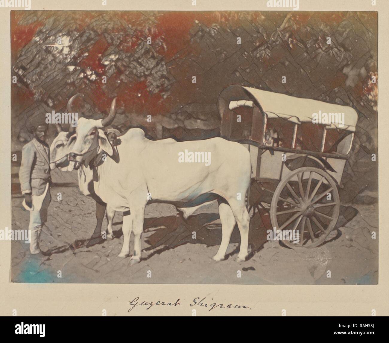 Gazerat Shigram, India, 1886 - 1889, Albumen silver print. Reimagined ...