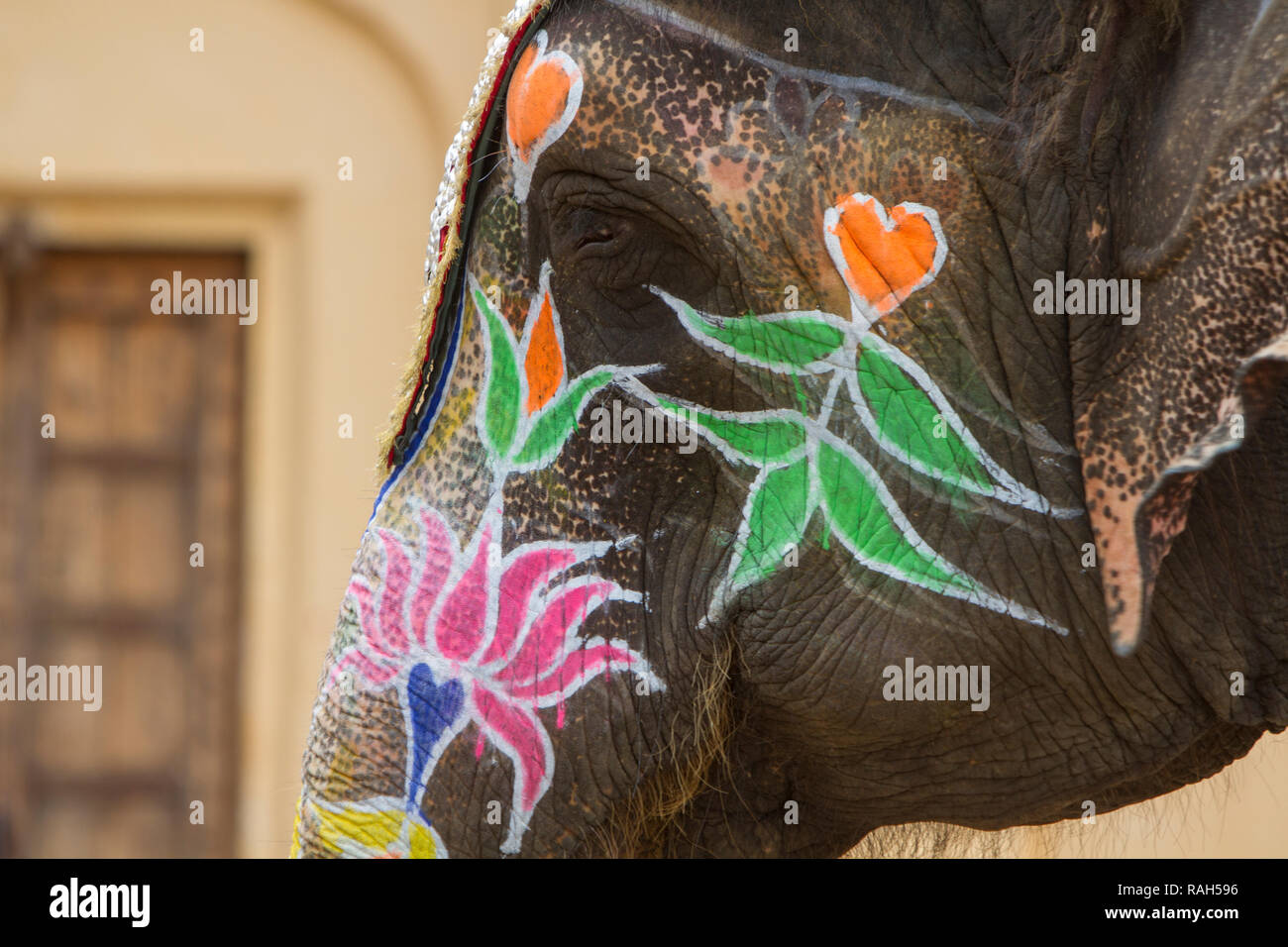 An elephant decorated in brightly painted traditional Hindu symbols ...