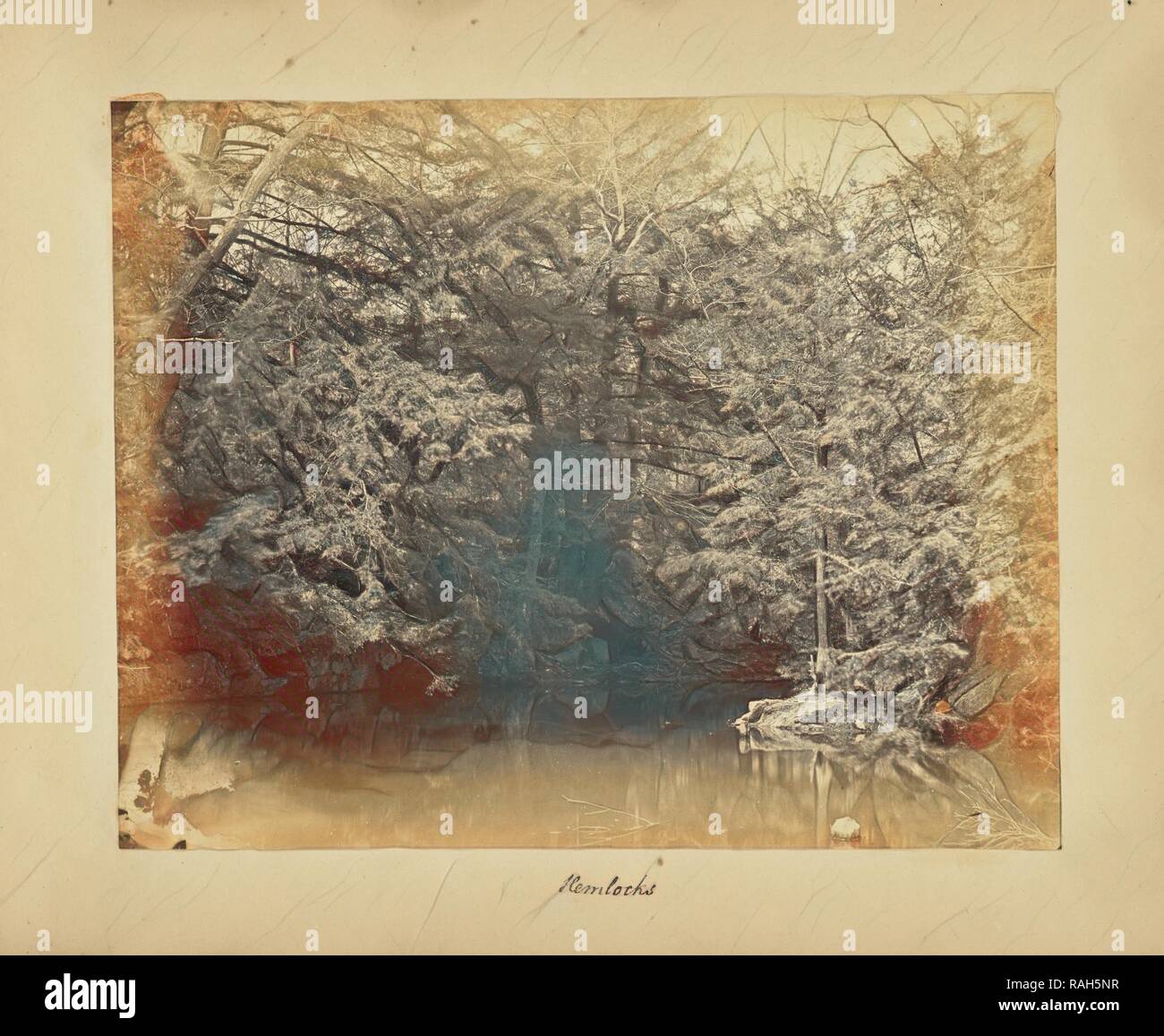 Hemlocks hi-res stock photography and images - Alamy