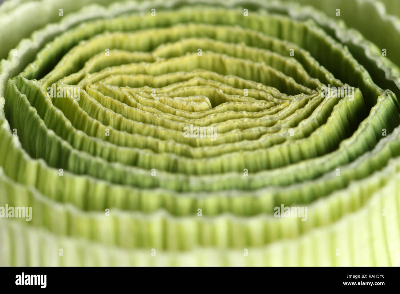 macro image of leek slice Stock Photo - Alamy