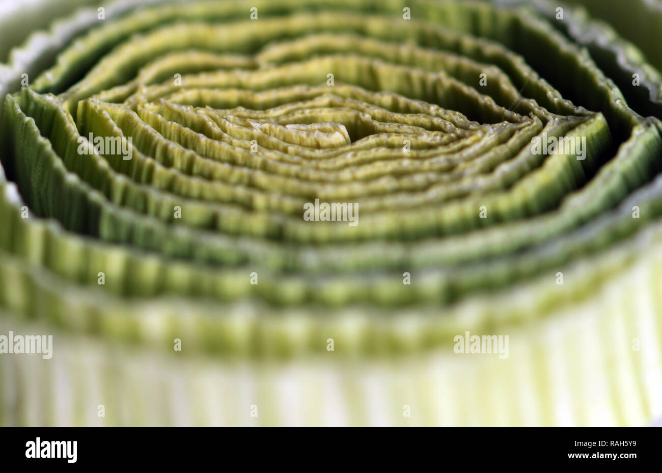 macro image of leek slice Stock Photo - Alamy
