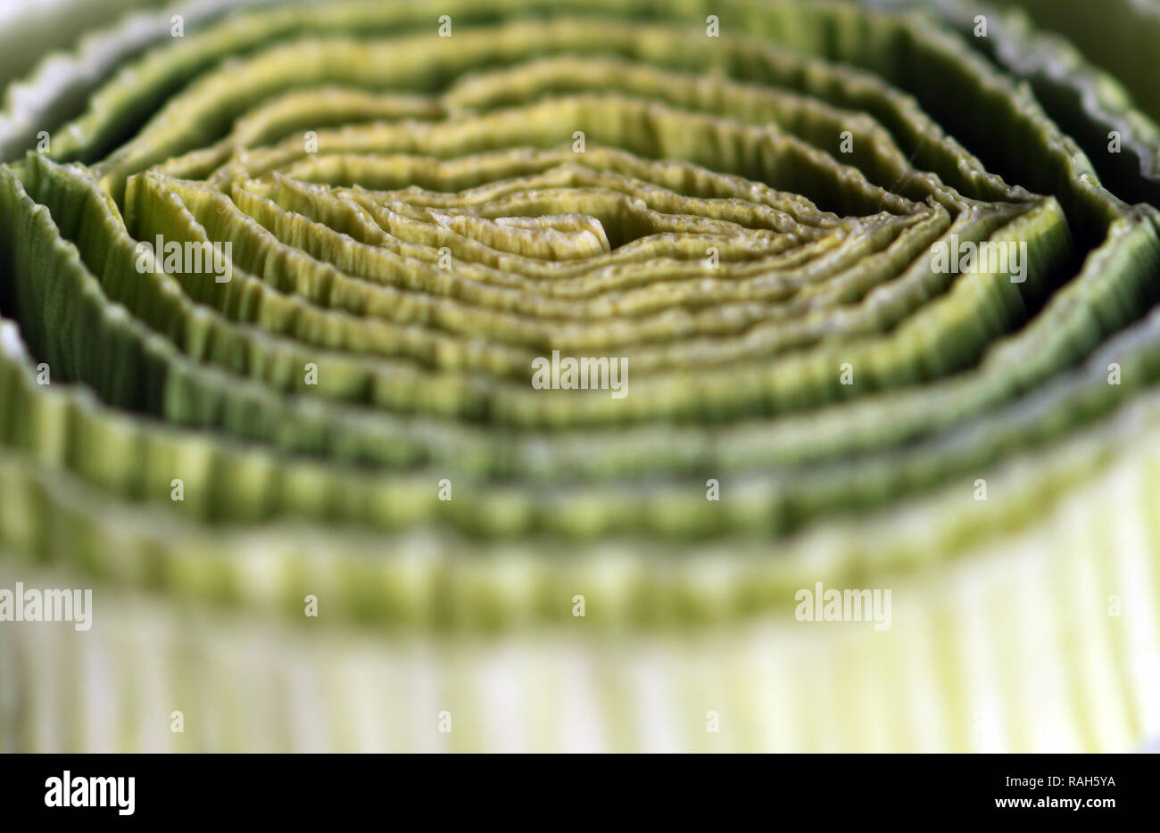 Leek slice hi-res stock photography and images - Alamy