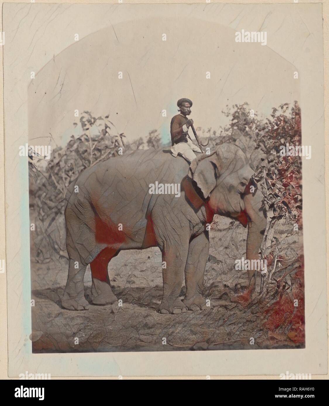 Man And Elephant High Resolution Stock Photography and Images - Alamy