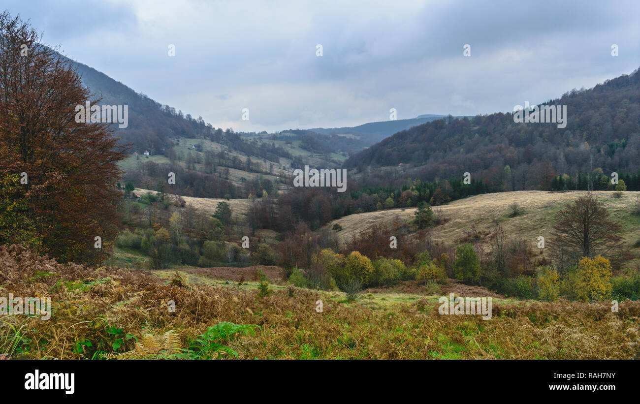 Povlen hi-res stock photography and images - Alamy