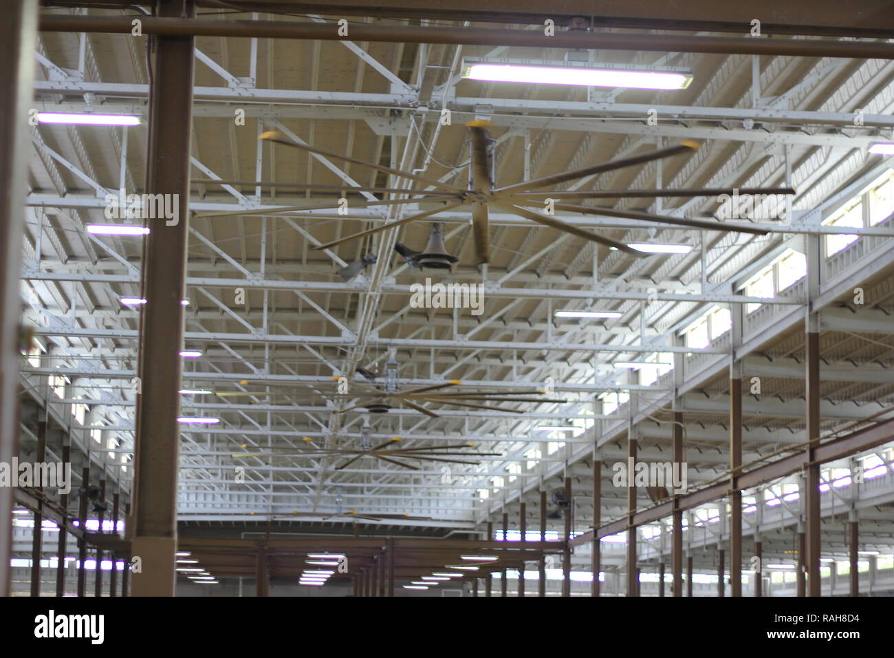 Brown Arena Ceiling, Ohio State Fairgrounds, Columbus, Ohio Stock Photo ...