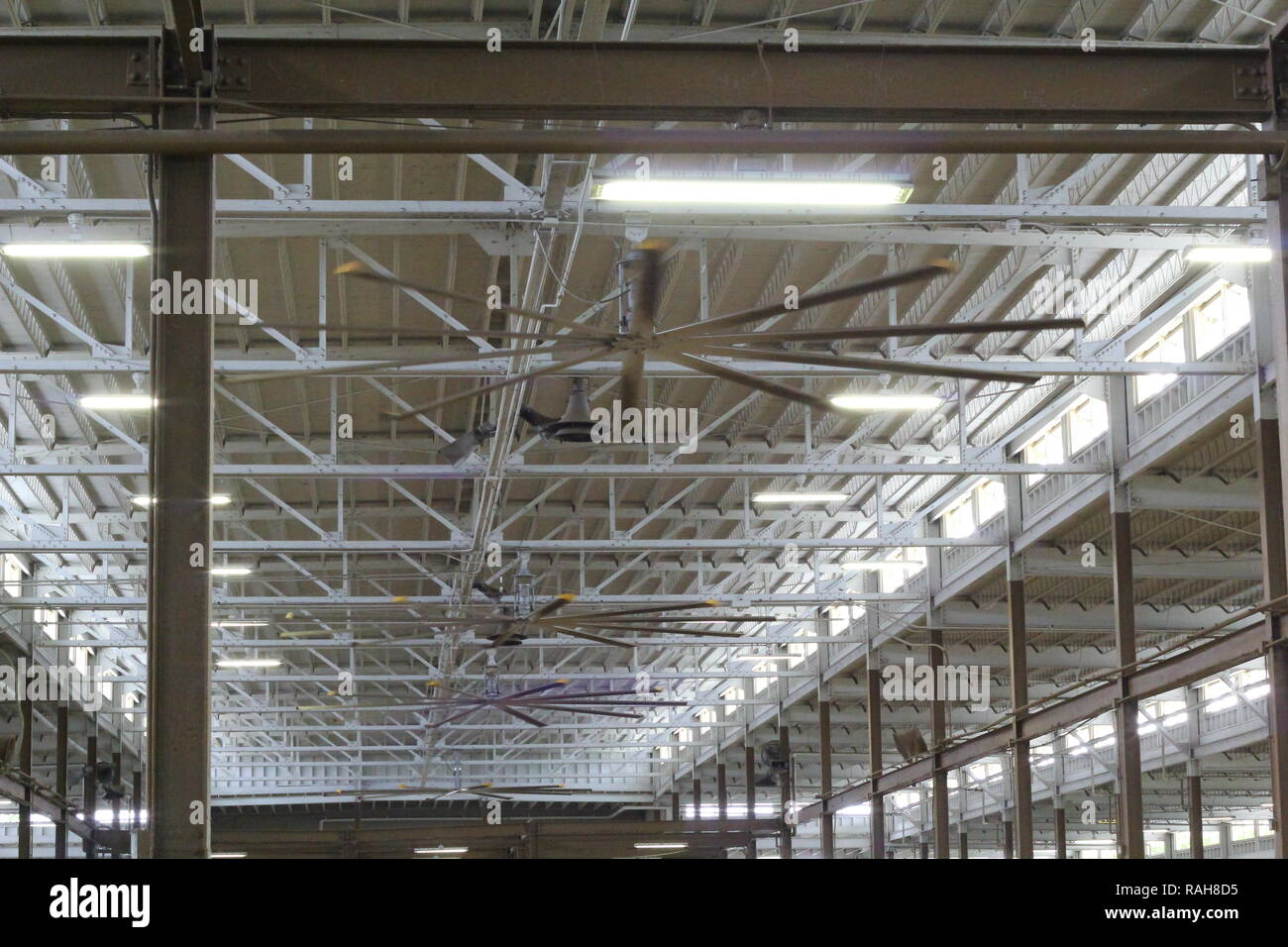 Brown Arena Ceiling, Ohio State Fairgrounds, Columbus, Ohio Stock Photo ...