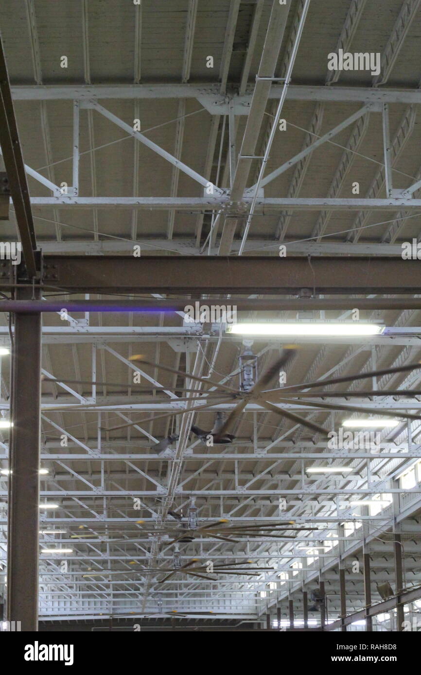 Brown Arena Ceiling, Ohio State Fairgrounds, Columbus, Ohio Stock Photo ...