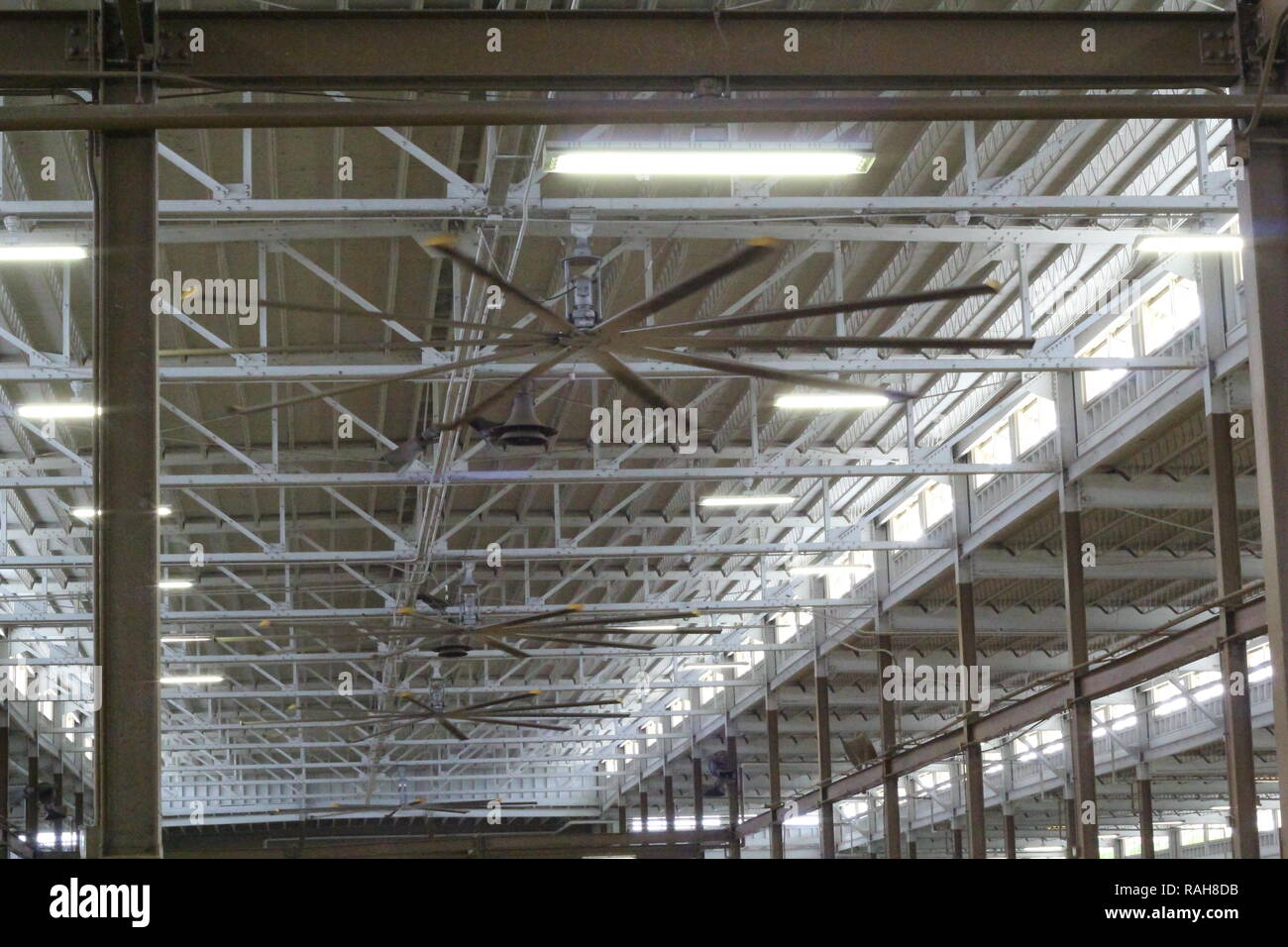Brown Arena Ceiling, Ohio State Fairgrounds, Columbus, Ohio Stock Photo ...