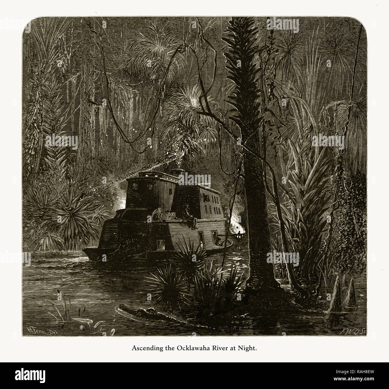 Ascending the Ocklawaha River at Night, Florida Swamp, Florida, United ...