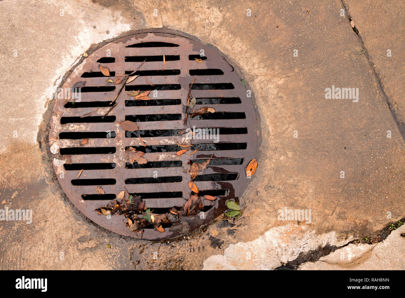 Circular drain cover hi-res stock photography and images - Alamy
