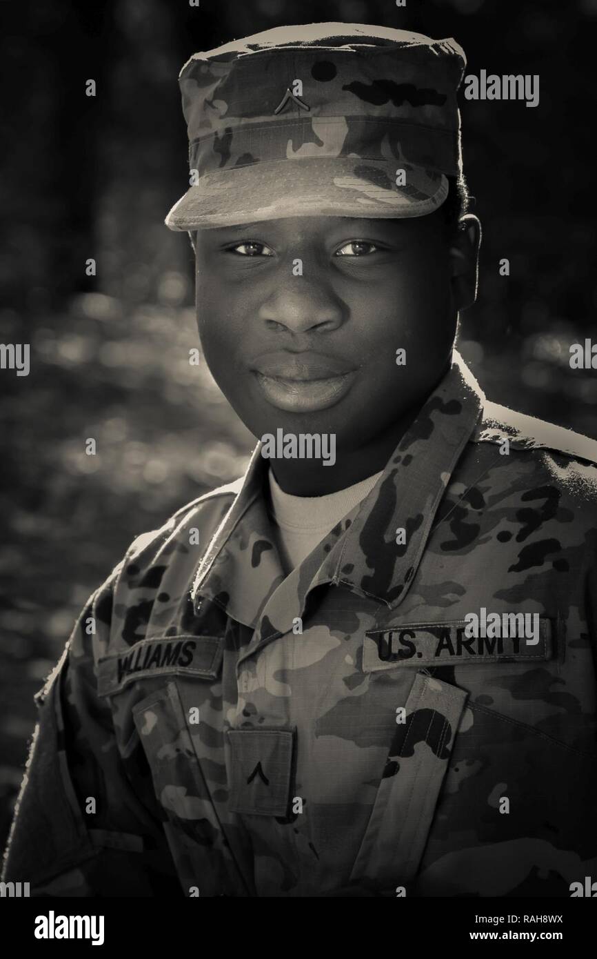 Vcat hi-res stock photography and images - Alamy